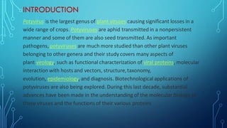 Potyvirus - plant virus interaction | PDF