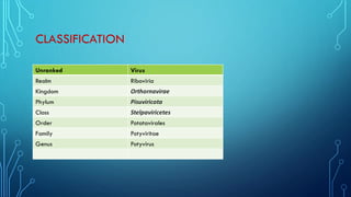 Potyvirus - plant virus interaction | PDF