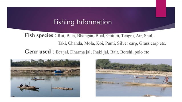 Sustainable Livelihood Approach of Fishermen | PPT