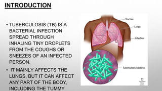 Presentation (6).pptx