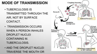 Presentation (6).pptx