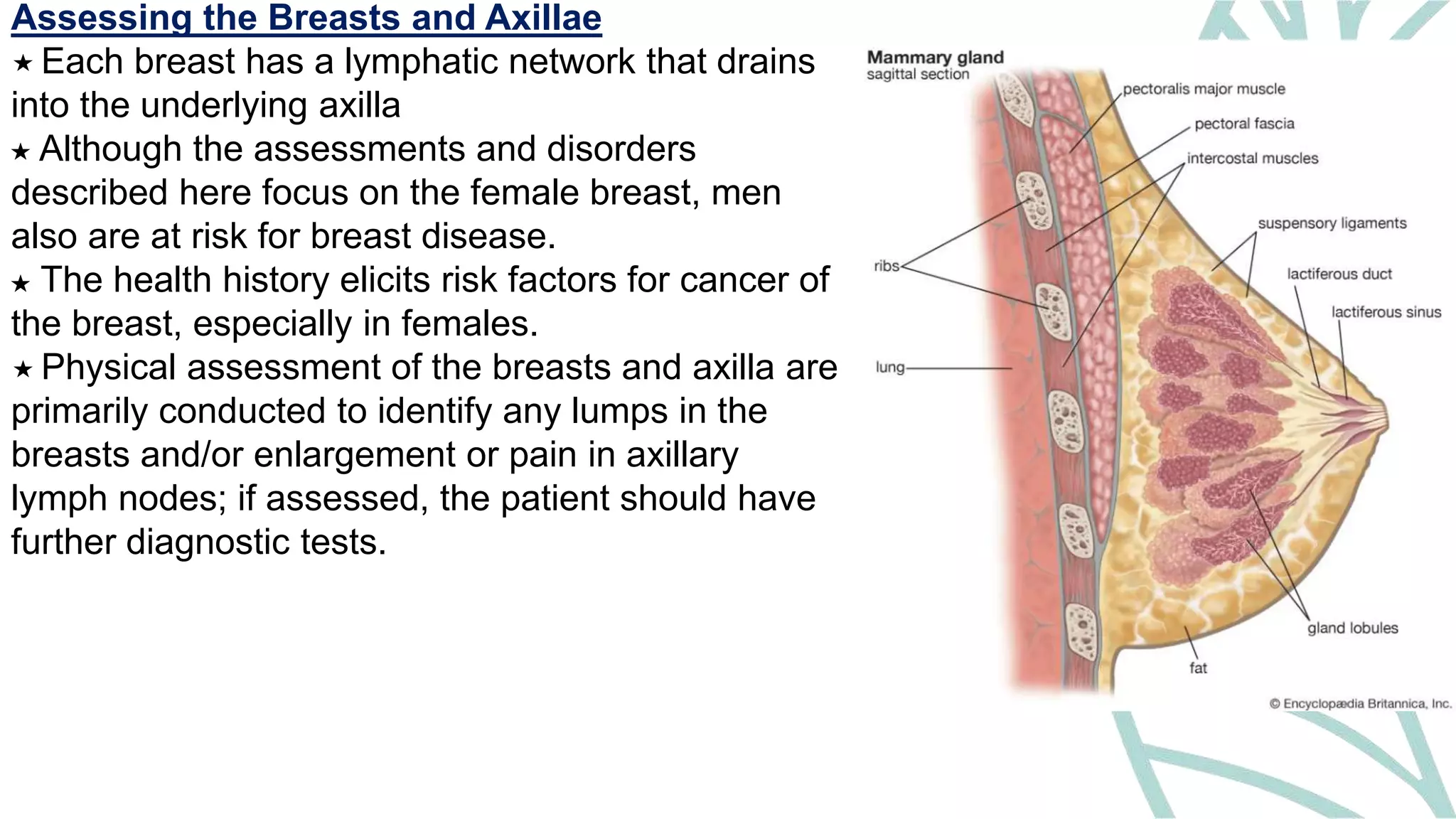 Assesment of breast and axilla | PPTX