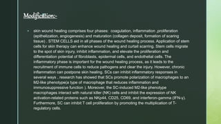 Stem cell in burn treatment | PPT