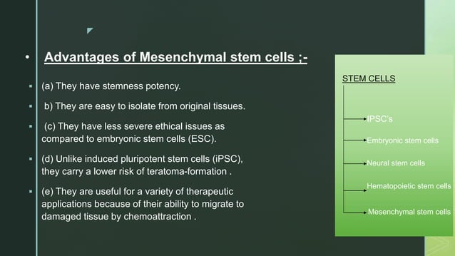 Stem cell in burn treatment | PPT