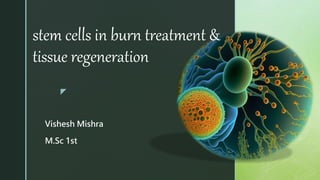 Stem cell in burn treatment | PPT