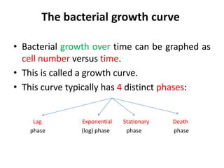 Presentation ,,on growth of bacteria.ppt