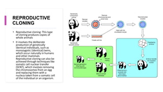 Presentation 6.pptx
