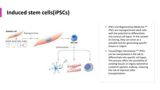 Presentation 6.pptx