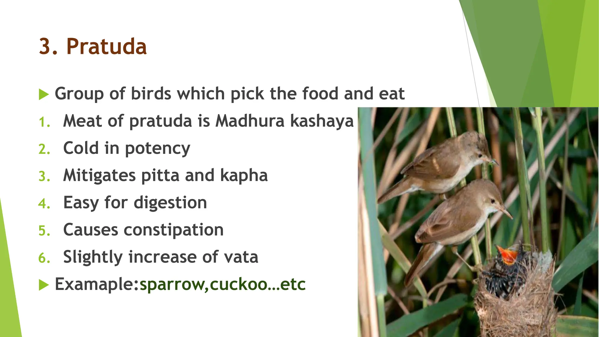 Presentation (6).pptx aahara varga svastha vrutta | PPTX