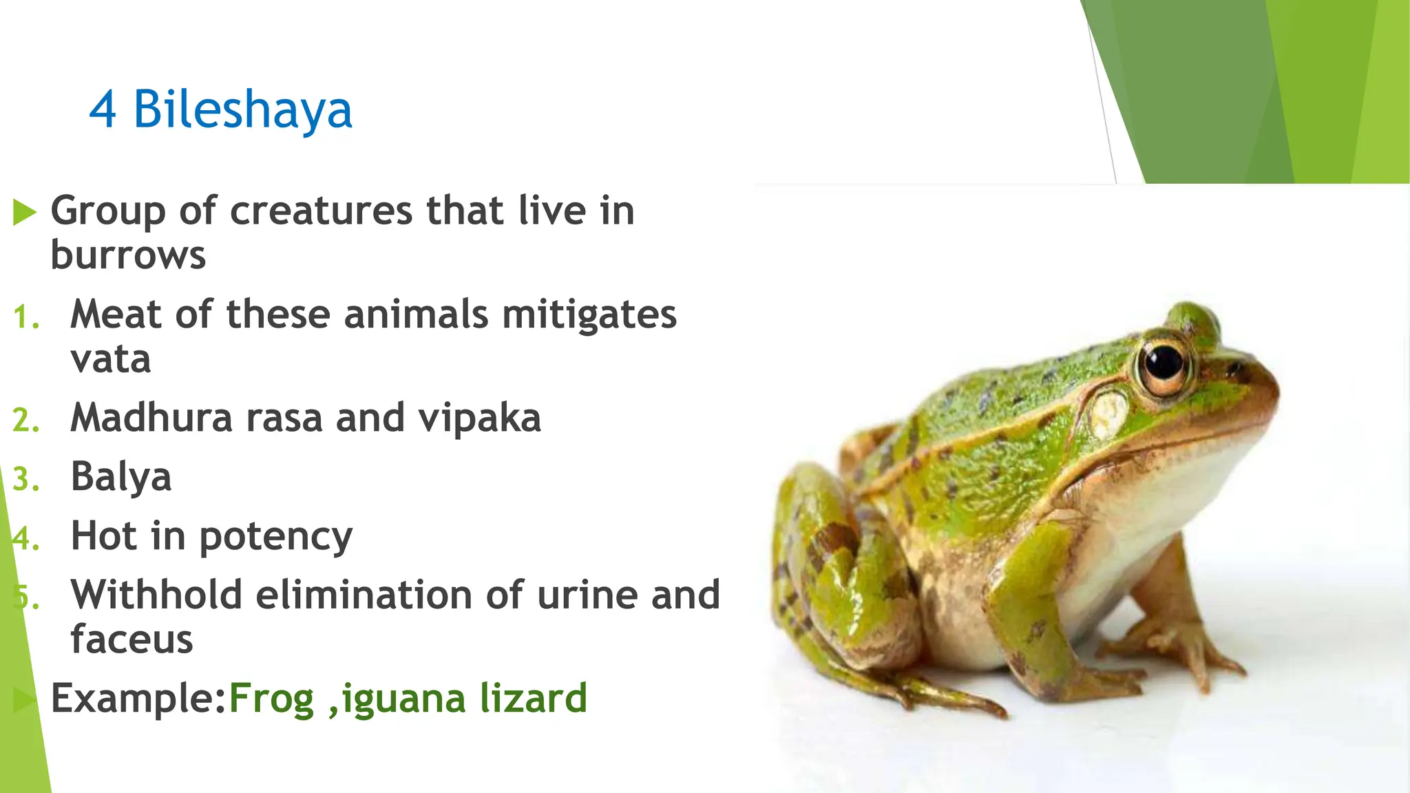 Presentation (6).pptx aahara varga svastha vrutta | PPTX