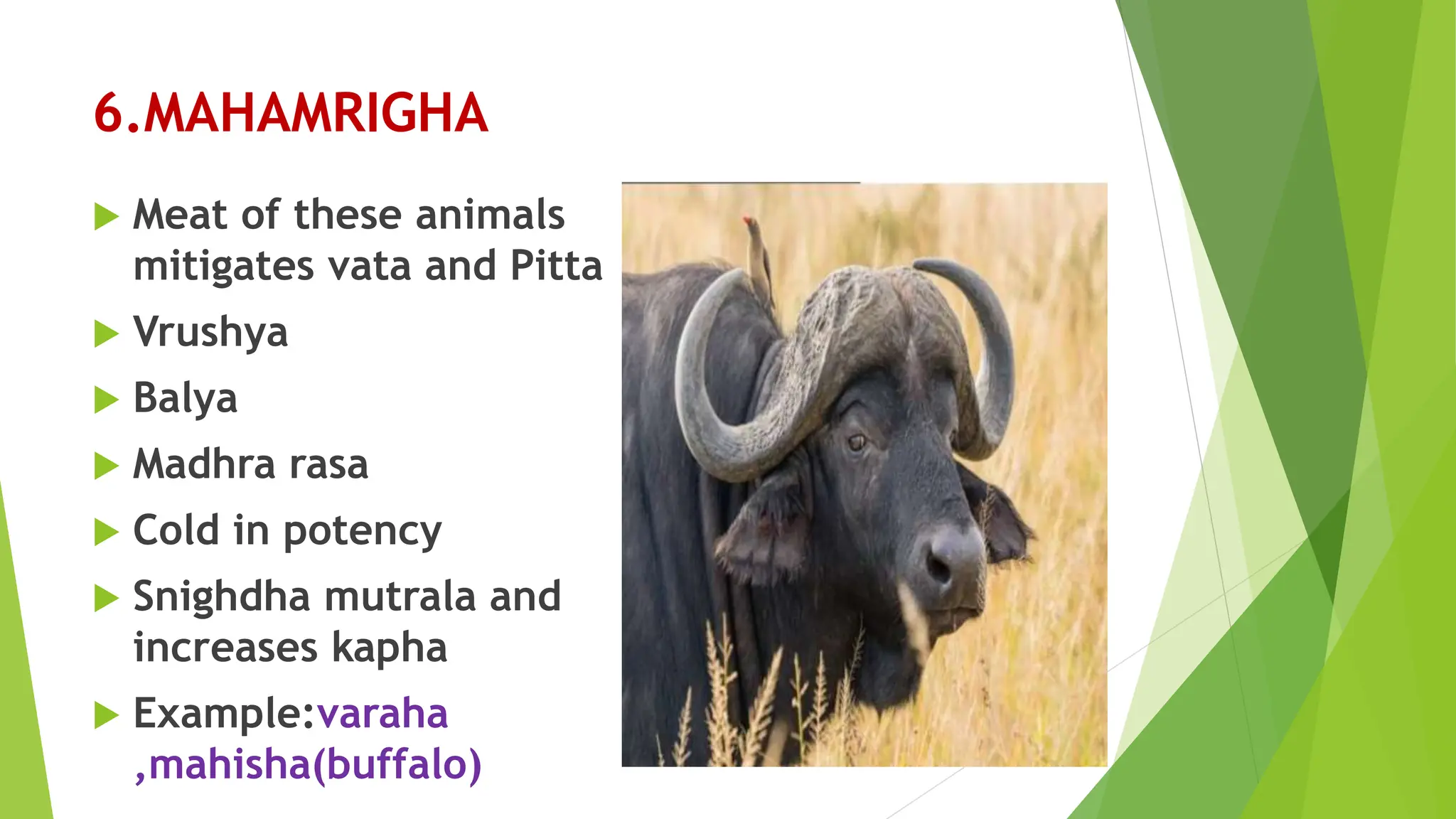 Presentation (6).pptx aahara varga svastha vrutta | PPTX