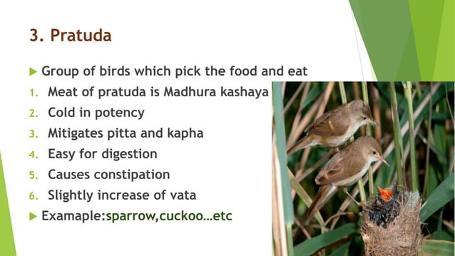 Presentation (6).pptx aahara varga svastha vrutta | PPTX | Digestive ...