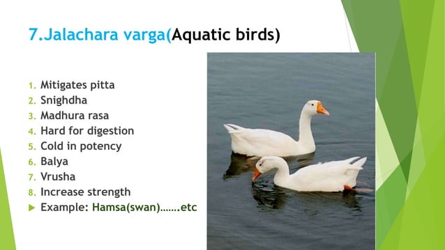 Presentation (6).pptx aahara varga svastha vrutta | PPTX | Digestive ...