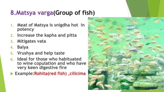 Presentation (6).pptx aahara varga svastha vrutta | PPTX | Digestive ...