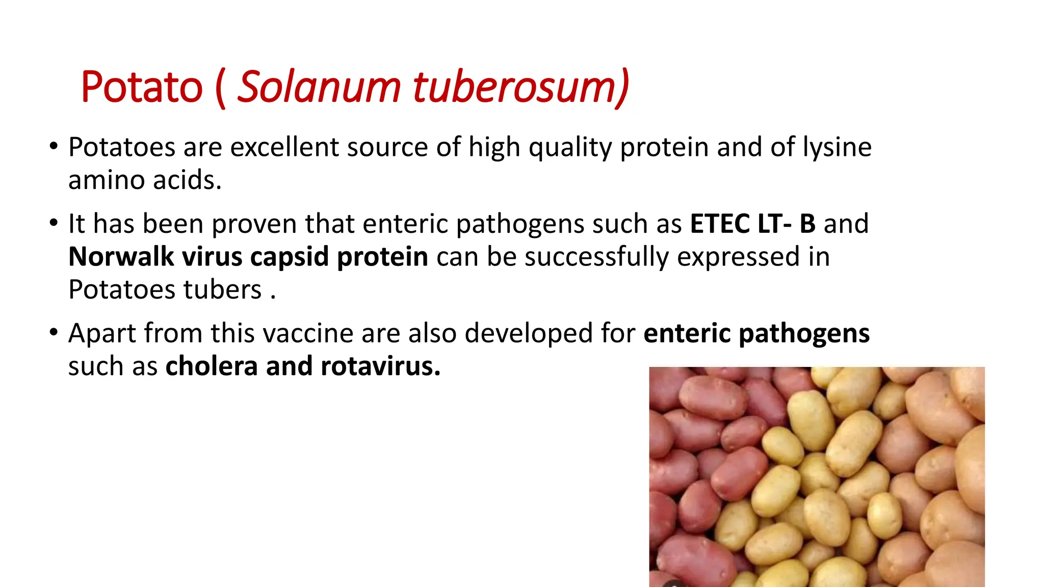 Presentation (6) edible vaccine of v.pptx