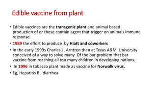 Presentation (6) edible vaccine of v.pptx