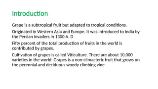 Production Technology of Grapes and It's Post Harvest Handling | PPTX