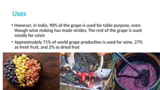 Production Technology of Grapes and It's Post Harvest Handling | PPTX