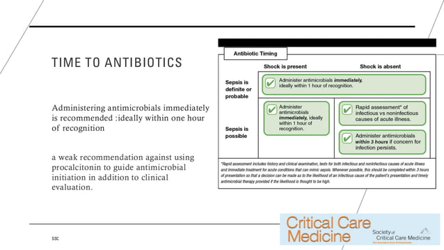 A Review of Surviving Sepsis Campaign: International Guidelines for ...