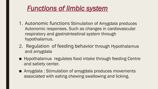 Limbic system - emotional brain.....pptx