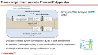 Challenges of transporter IVIVE, Digoxin example | PPTX