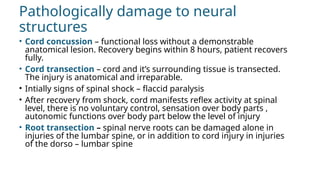 Spinal cord applied anatomy Presentation (6) (1).pptx