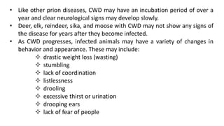 Presentation 6 pryon diseases | PPTX