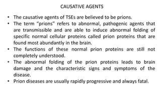 Presentation 6 pryon diseases | PPTX | Brain and Nervous System ...