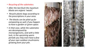 Presentation (7)-2.pptx | Gardening | Home & Garden