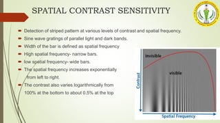 Contrast Senstivity | PPTX