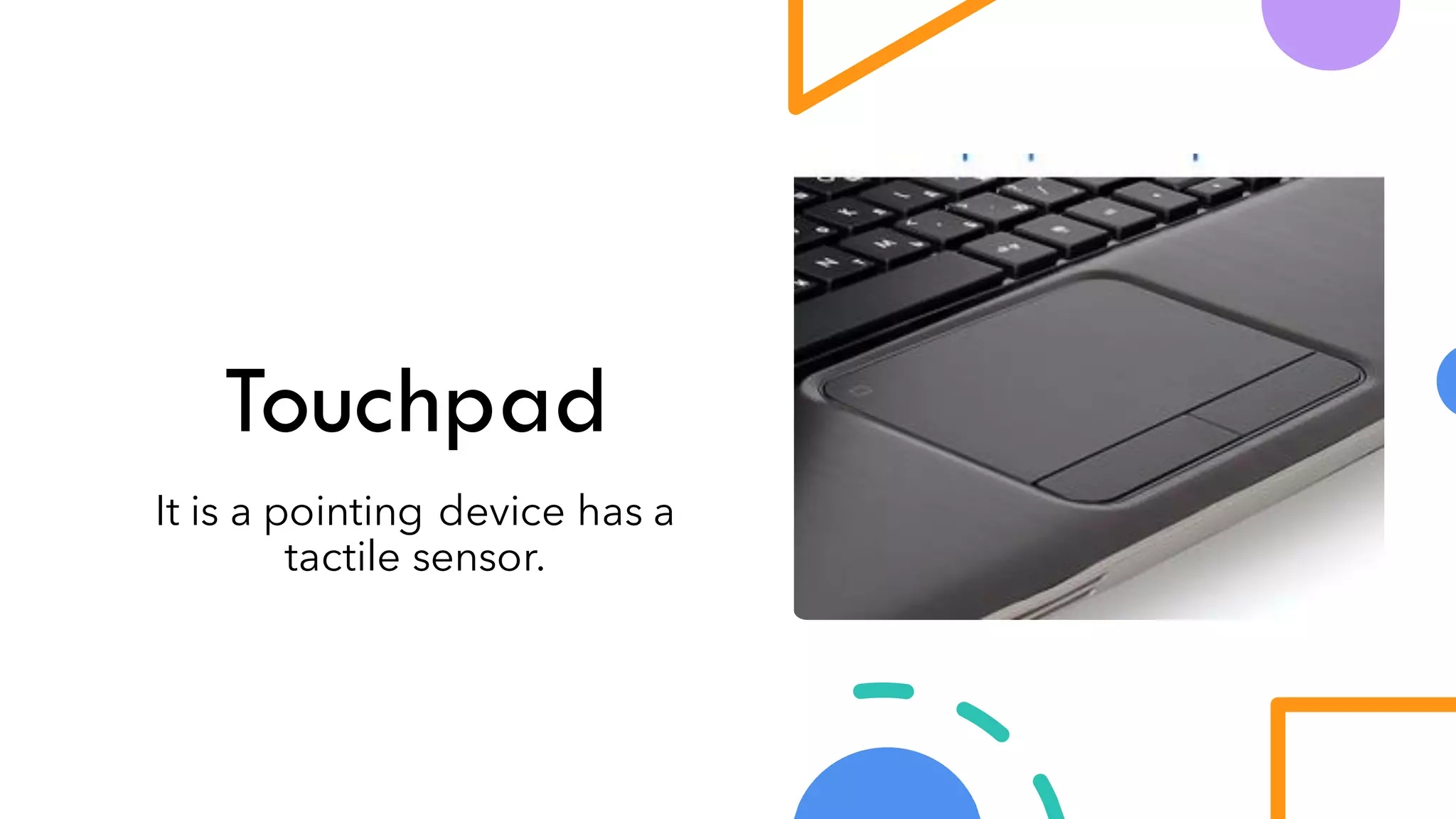 Pointing Devices | PDF