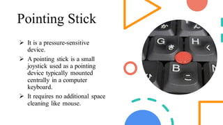 Pointing Devices | PDF