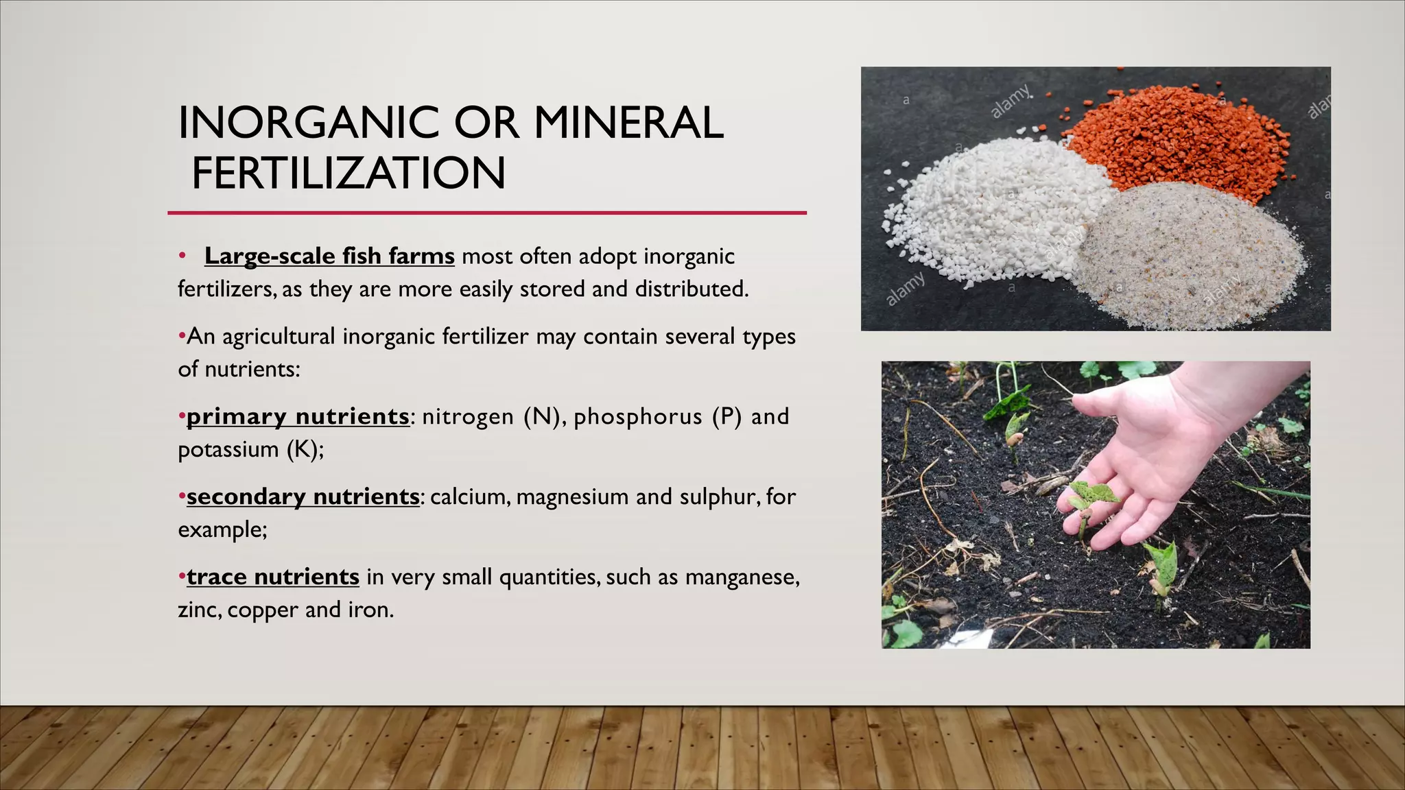 Fertilization of Fish Pond | PDF