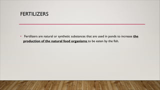 Fertilization of Fish Pond | PDF