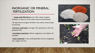 Fertilization of Fish Pond | PDF