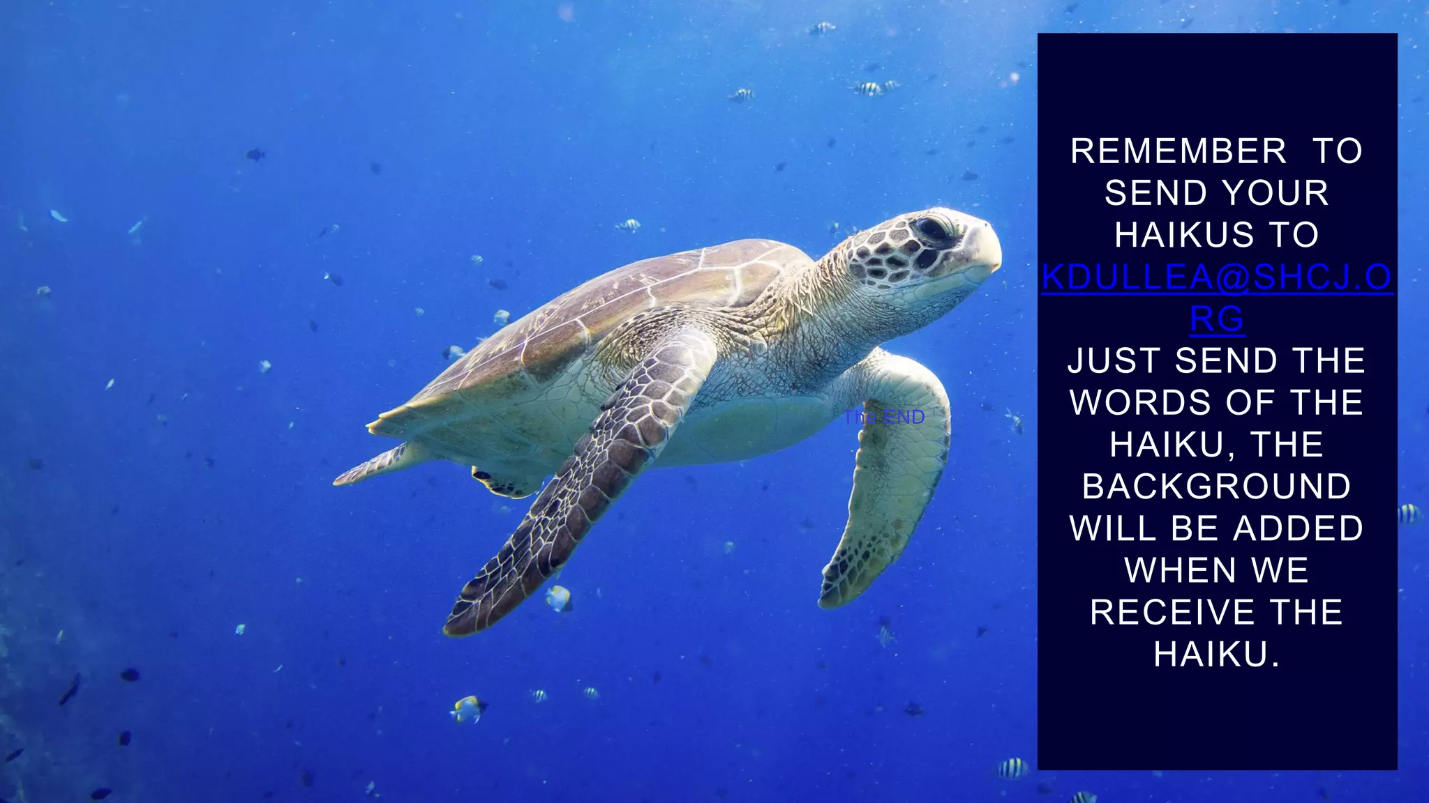 SHCJ HAIKU COLLECTION | PPTX