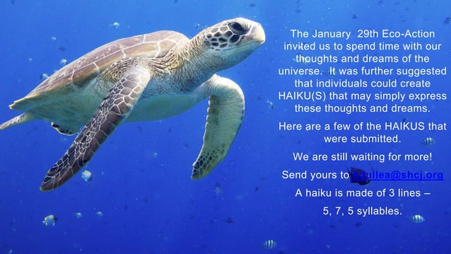 SHCJ HAIKU COLLECTION | PPT