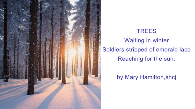 SHCJ HAIKU COLLECTION | PPT