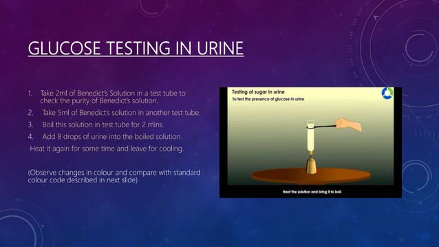 Urine Testing for Detection of presence of glucose and proteins | PPTX