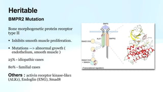 Pulmonary Hypertension.pptx