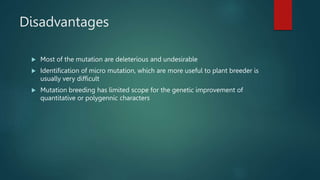 Presentation (7).pptx