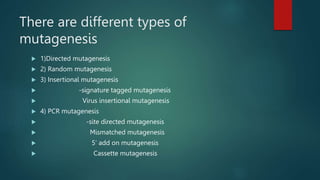 Presentation (7).pptx
