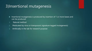 Presentation (7).pptx