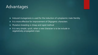 Presentation (7).pptx