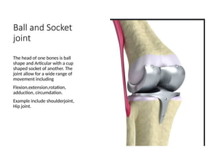 Presentation nursing students anatomy physiology | PPT