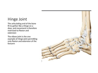 Presentation nursing students anatomy physiology | PPTX