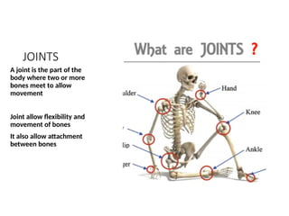 Presentation nursing students anatomy physiology | PPTX