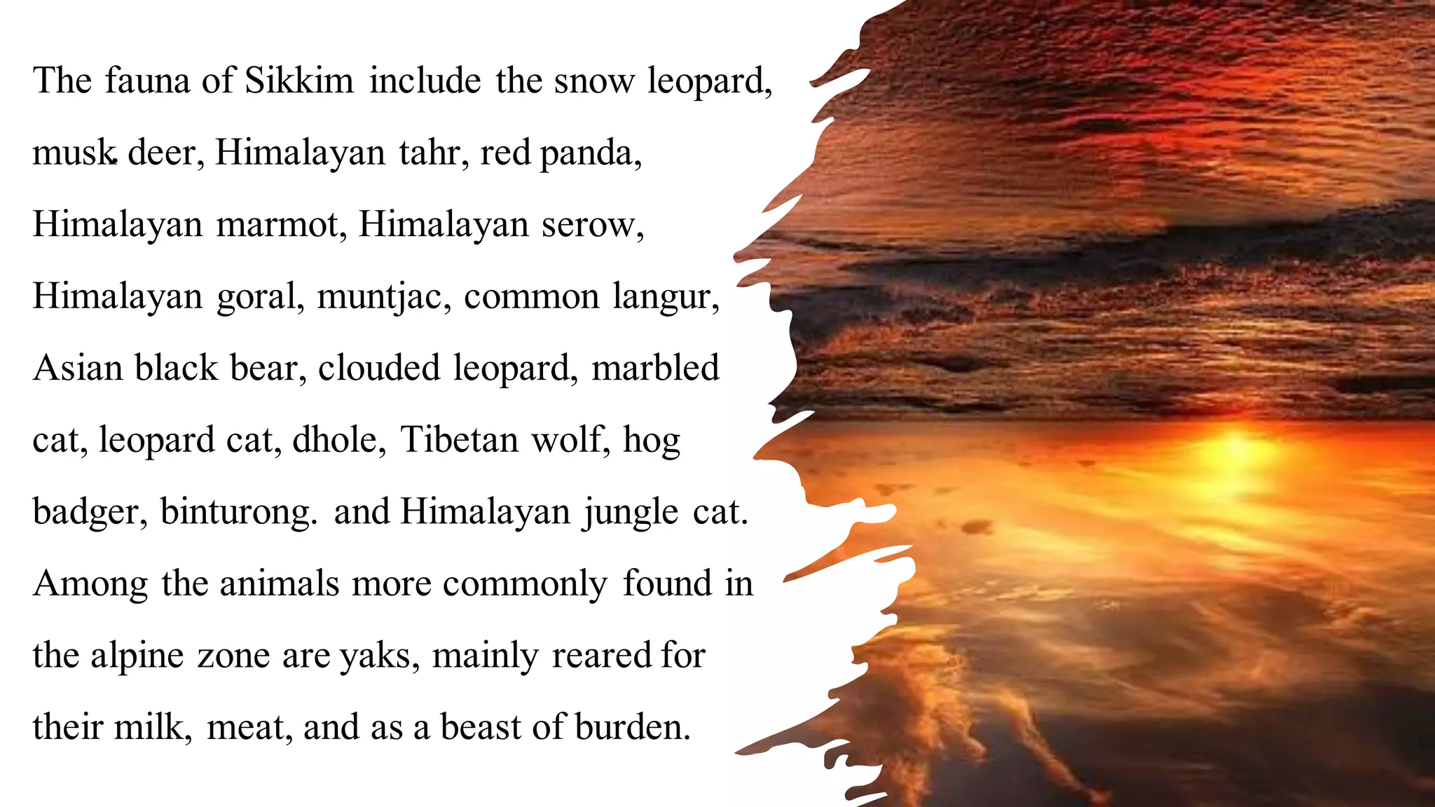 Flora and Fauna on Sikkim | PDF