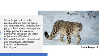Flora and Fauna on Sikkim | PDF