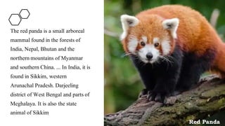 Flora and Fauna on Sikkim | PDF